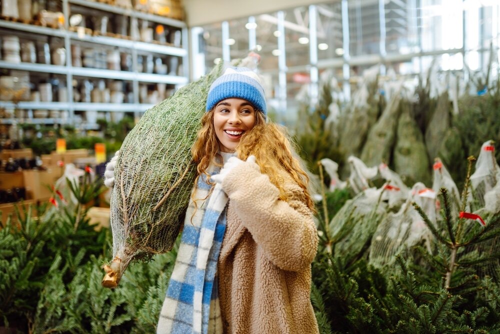 Tips for choosing the right Christmas tree - Hanleys of Cork
