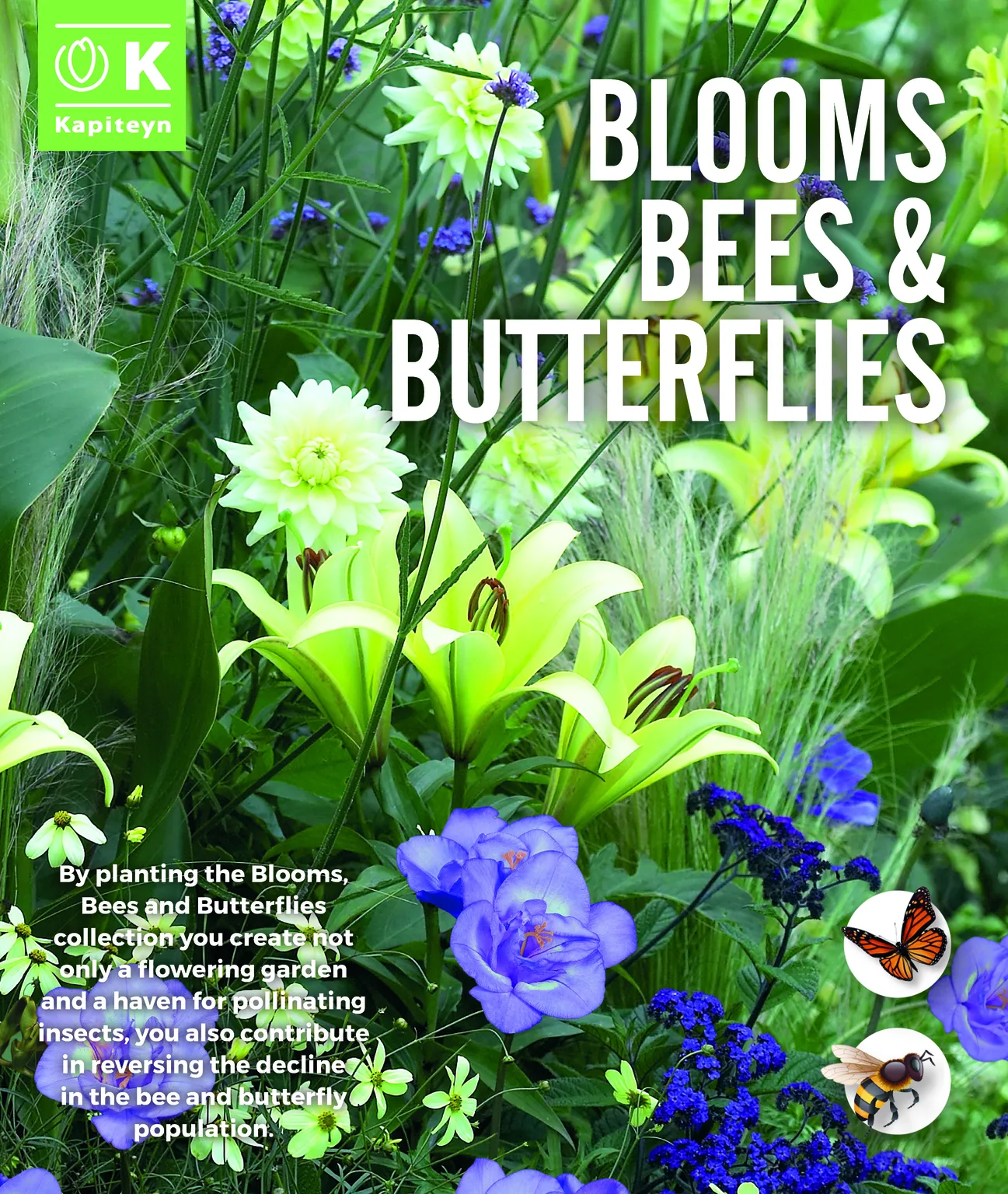 Blooms, Bees & Butterflies White & Blue - Hanleys of Cork