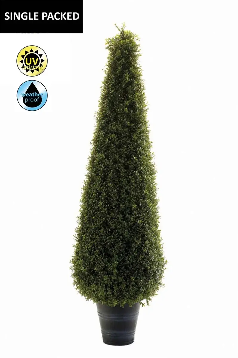 Boxwood Pyramid 135cm - Hanleys of Cork