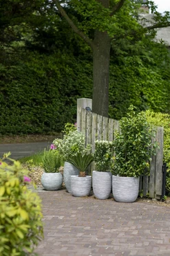 Capi Ivory Nature Rib NL Elegant Low Vase Planter 75L - Hanleys of Cork