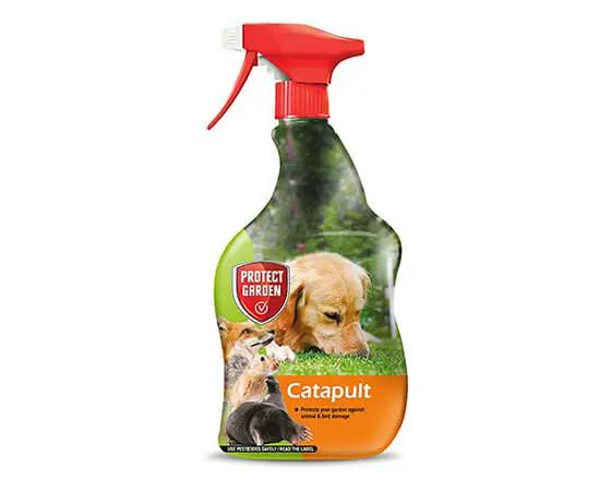 Cat A Pult 1L - Hanleys of Cork