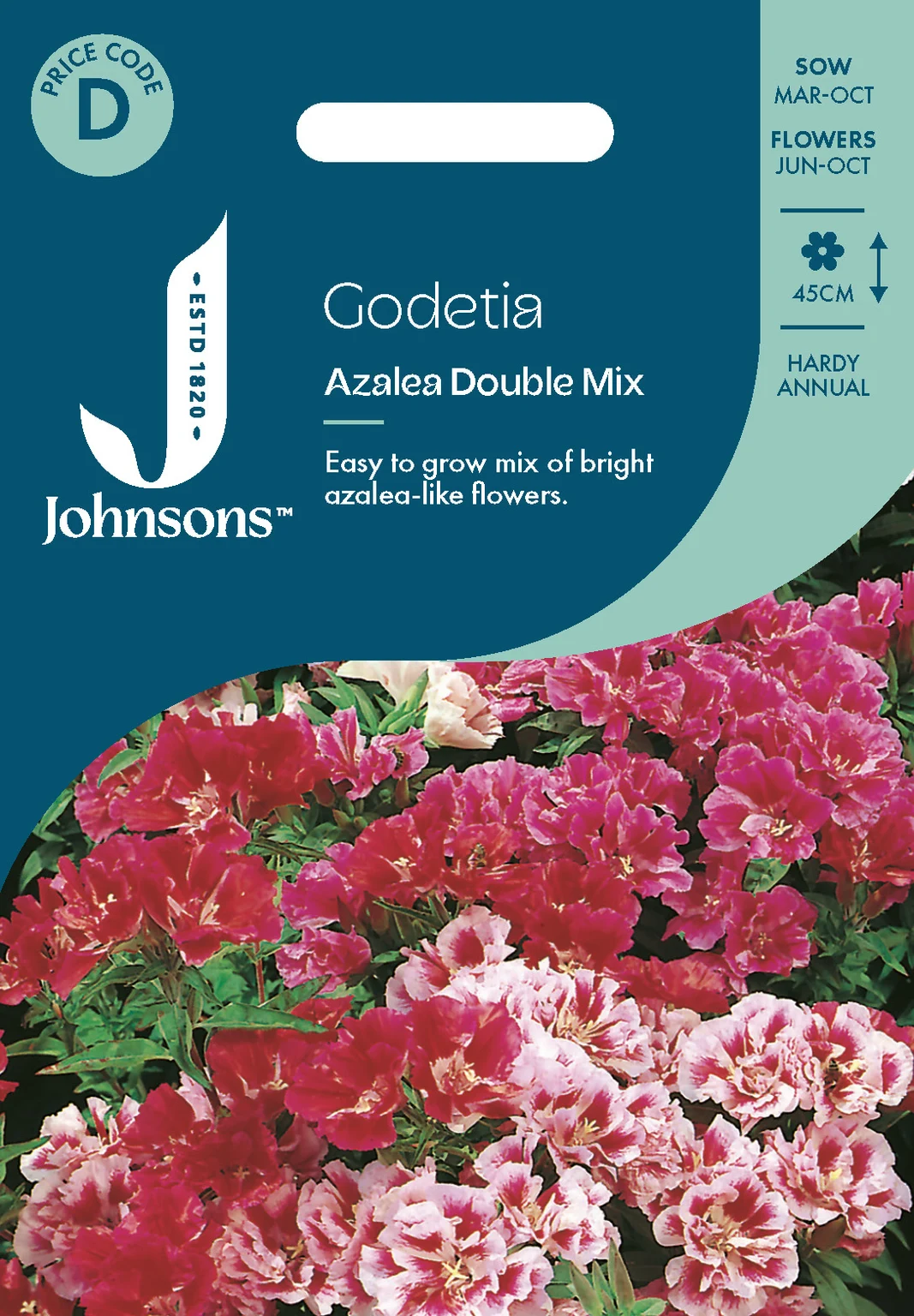 Godetia Azalea Double Mix - Hanleys of Cork