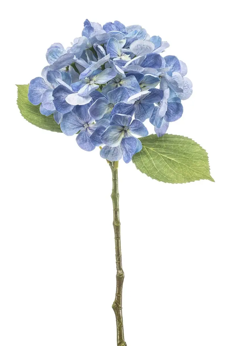 Hydrangea Spray Blue 47cm - Hanleys of Cork