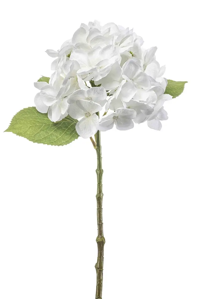 Hydrangea Spray White 47cm - Hanleys of Cork