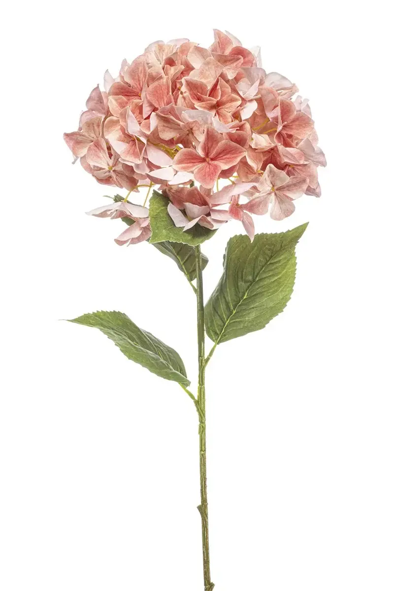 Hydrangea Xl Spray Peach 90cm - Hanleys of Cork