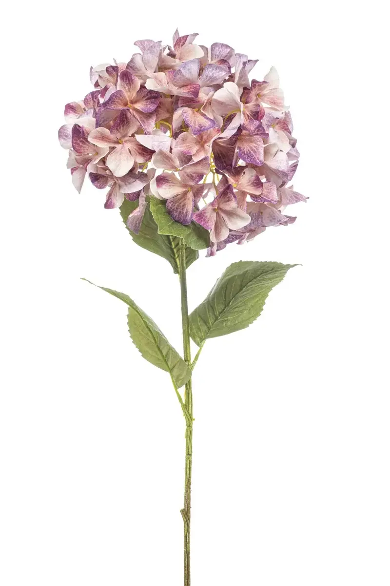 Hydrangea Xl Spray Peach/Purple90cm - Hanleys of Cork