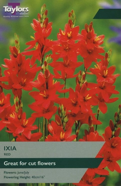 Ixia Red 5+ - Hanleys of Cork