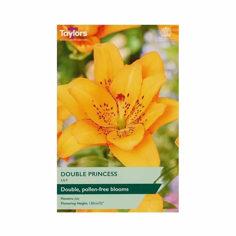 Lily Double Princess - Hanleys of Cork