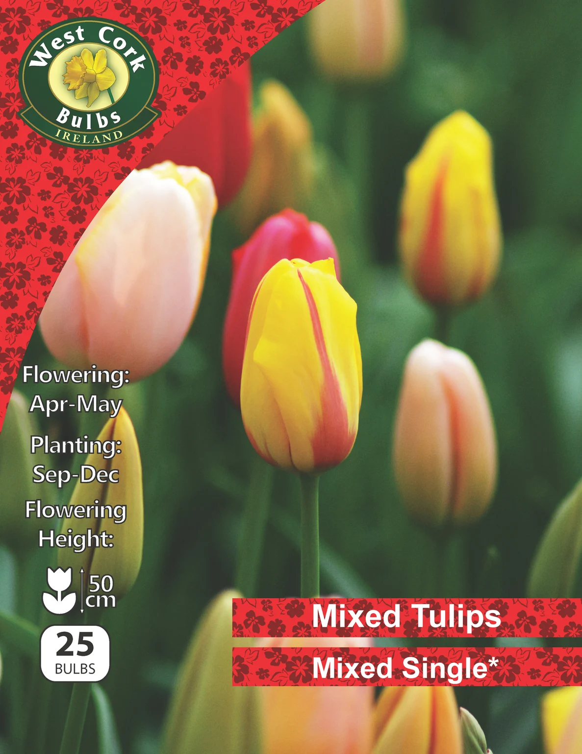 Mixed Single Tulips 25 Bulb Net - Hanleys of Cork