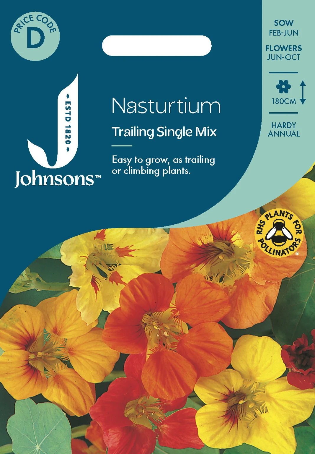Nasturtium Trailing Single Mix - Hanleys of Cork