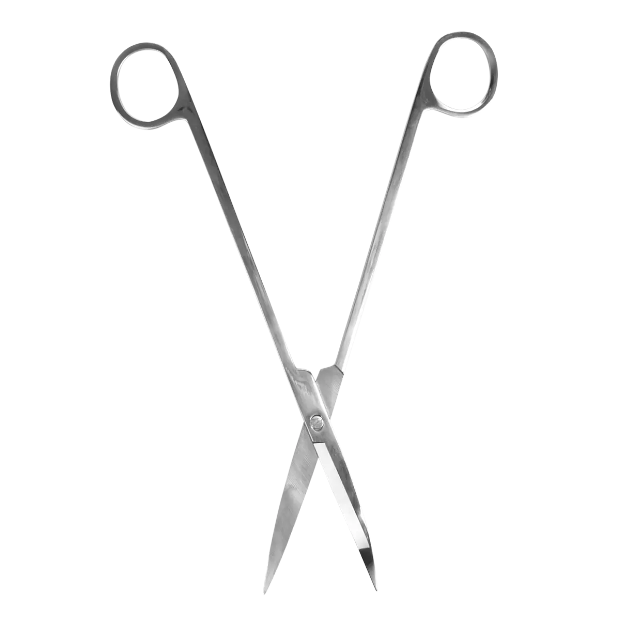 Terrarium Scissors - Hanleys of Cork
