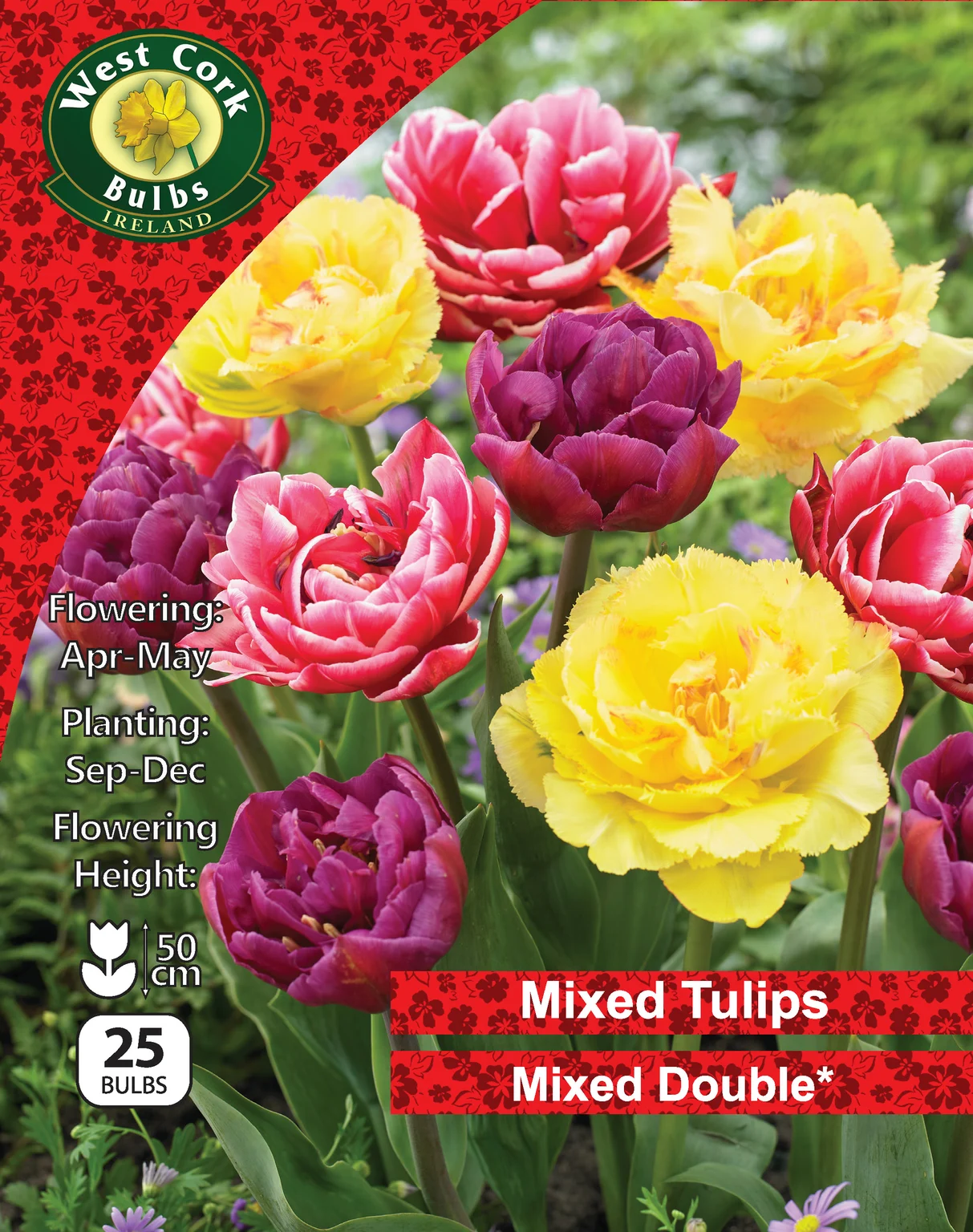 Tulips Mixed Double 25 Bulbs Pack 11/12 - Hanleys of Cork