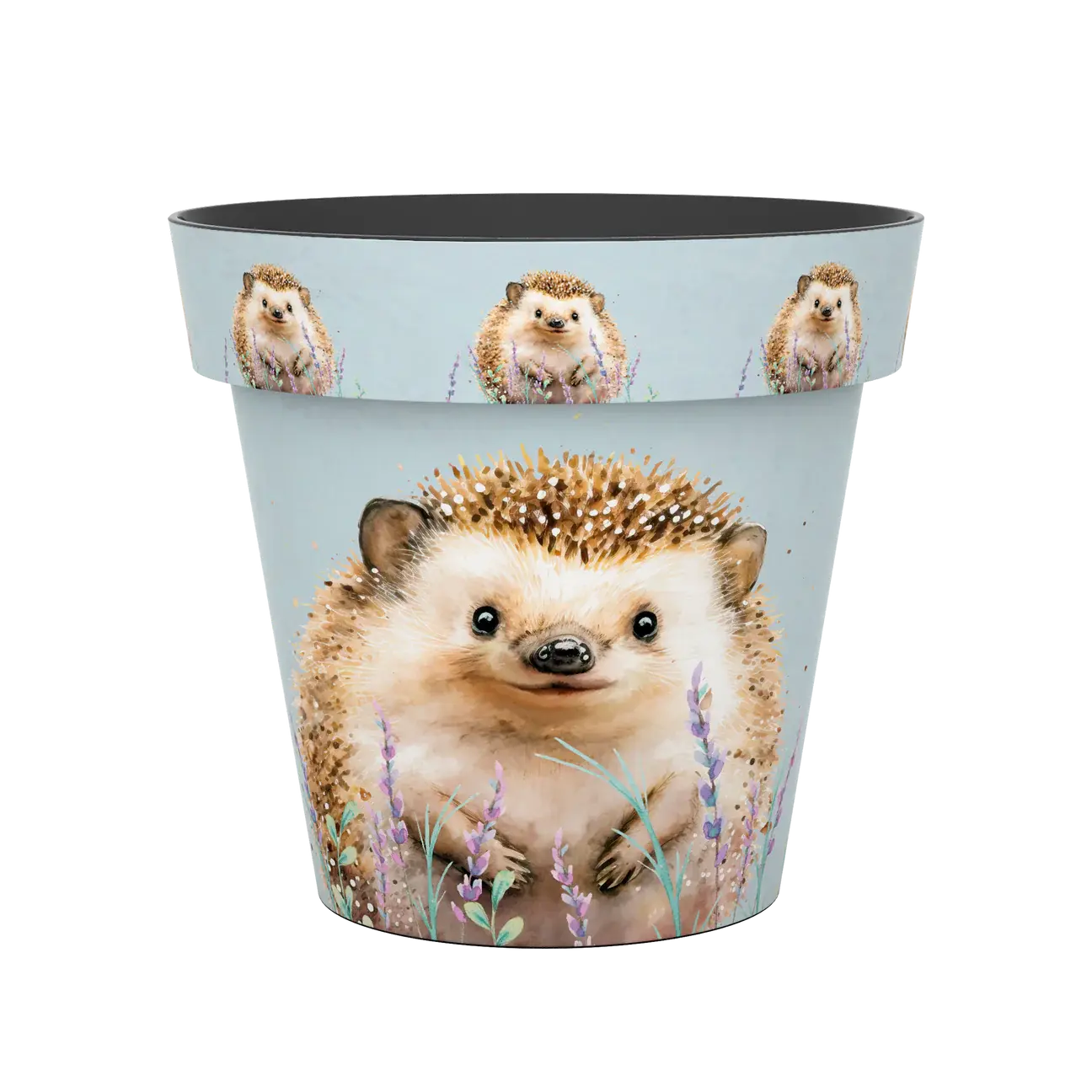 Zest Pot Hedgehog 30cm - Hanleys of Cork