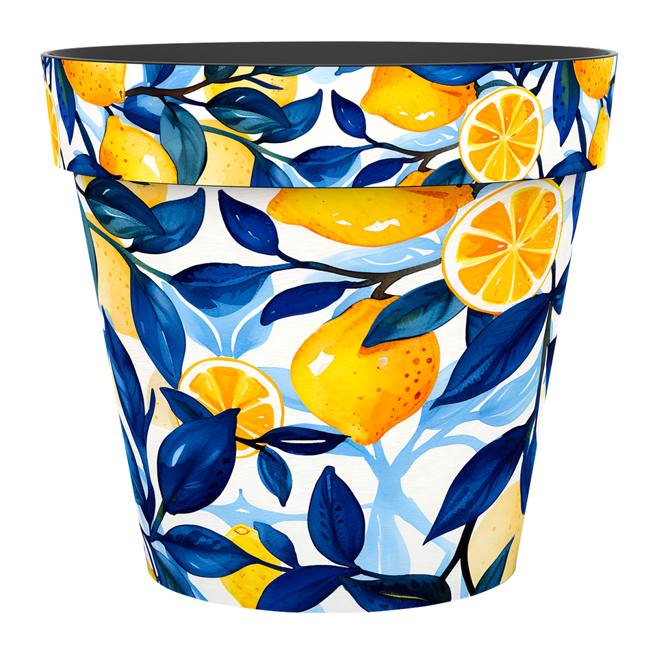 Zest Pot Marbella 30cm - Hanleys of Cork