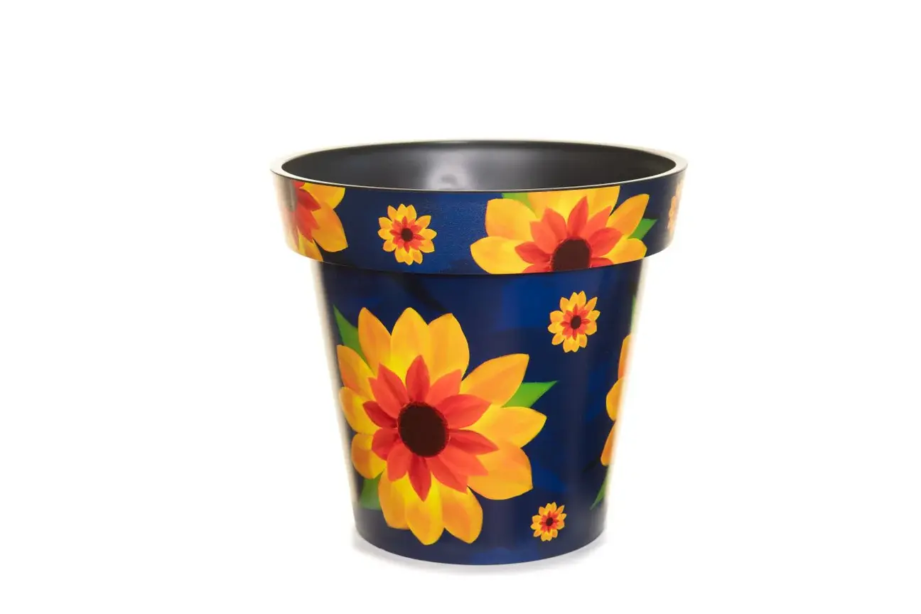 Zest Pot Sunflower 30cm - Hanleys of Cork